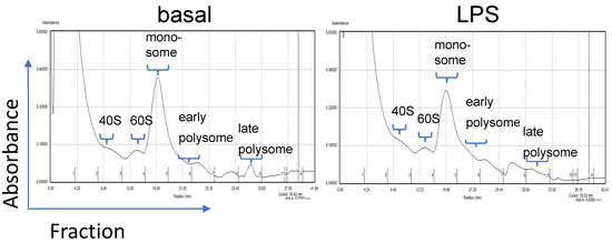 Polysome Profiling Proves Impaired IL-10 and Caspase-8 Translation in ...