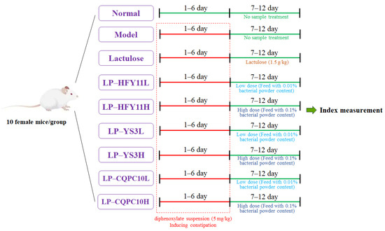 Inhibitory Effect of Lactiplantibacillus plantarun HFY11 on Compound ...