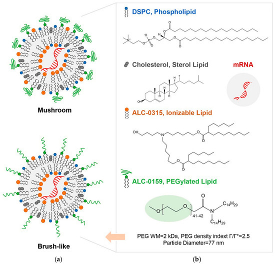 Revolutionizing mRNA Vaccines Through Innovative Formulation and ...