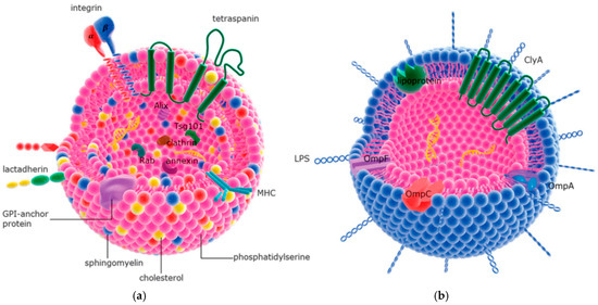 Revolutionizing mRNA Vaccines Through Innovative Formulation and Delivery Strategies