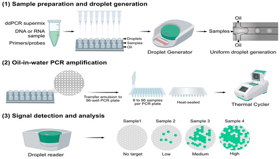 Application of Digital Polymerase Chain Reaction (dPCR) in Non-Invasive ...