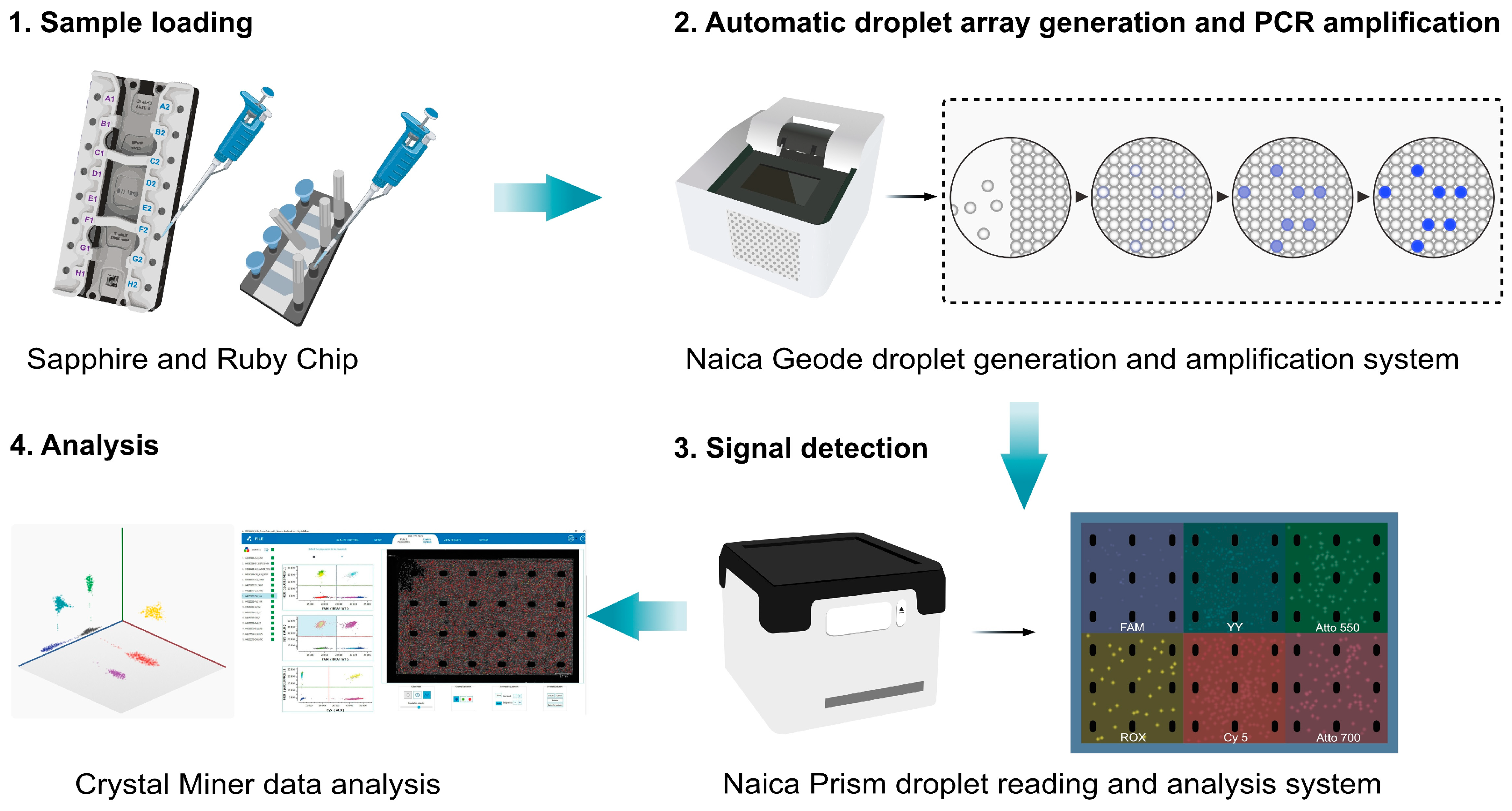 Application of Digital Polymerase Chain Reaction (dPCR) in Non-Invasive ...