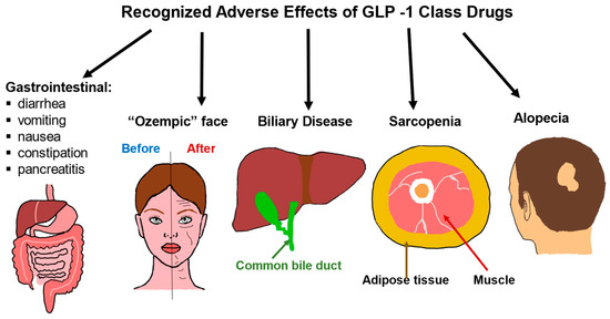 Weight Reduction with GLP-1 Agonists and Paths for Discontinuation ...