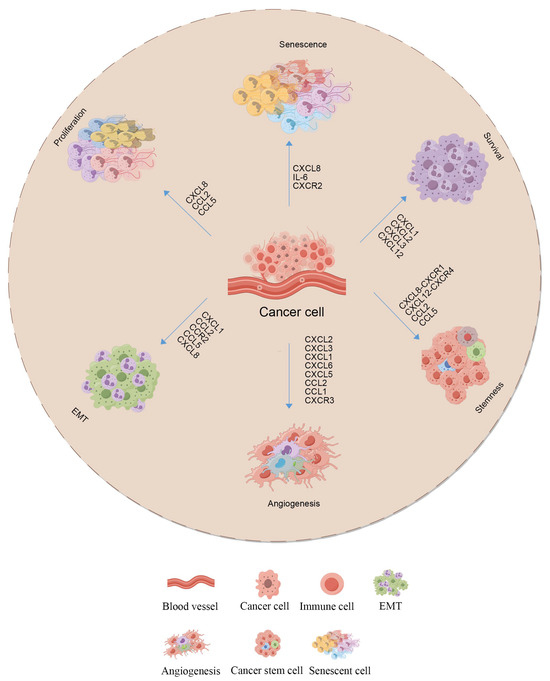 The Role of Long Non-Coding RNAs in Modulating the Immune ...