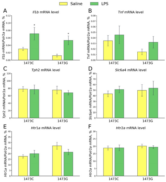 The C1473G Mutation in the Mouse Tph2 Gene: From Molecular Mechanism to ...