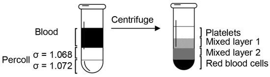 Platelet-Sourced TGF-β Promotes Th17 Responses and Enhances Airway ...