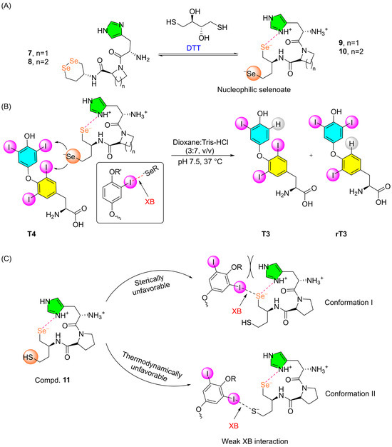 Thyroid Hormone Deiodination—Mechanisms and Small Molecule Enzyme Mimics