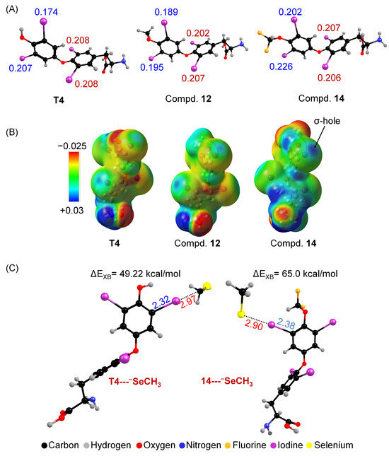 Thyroid Hormone Deiodination—Mechanisms and Small Molecule Enzyme Mimics