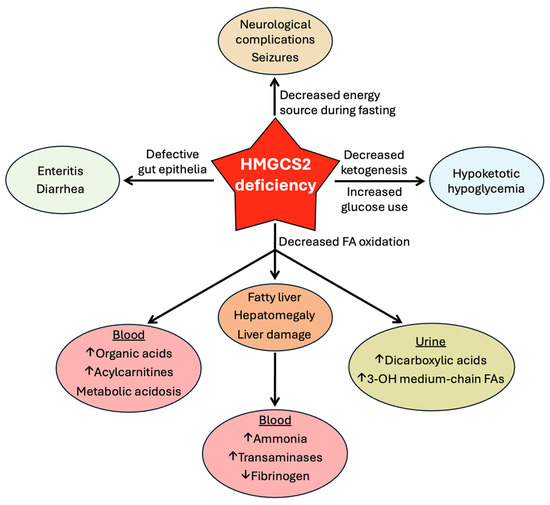 Not Just an Alternative Energy Source: Diverse Biological Functions of ...