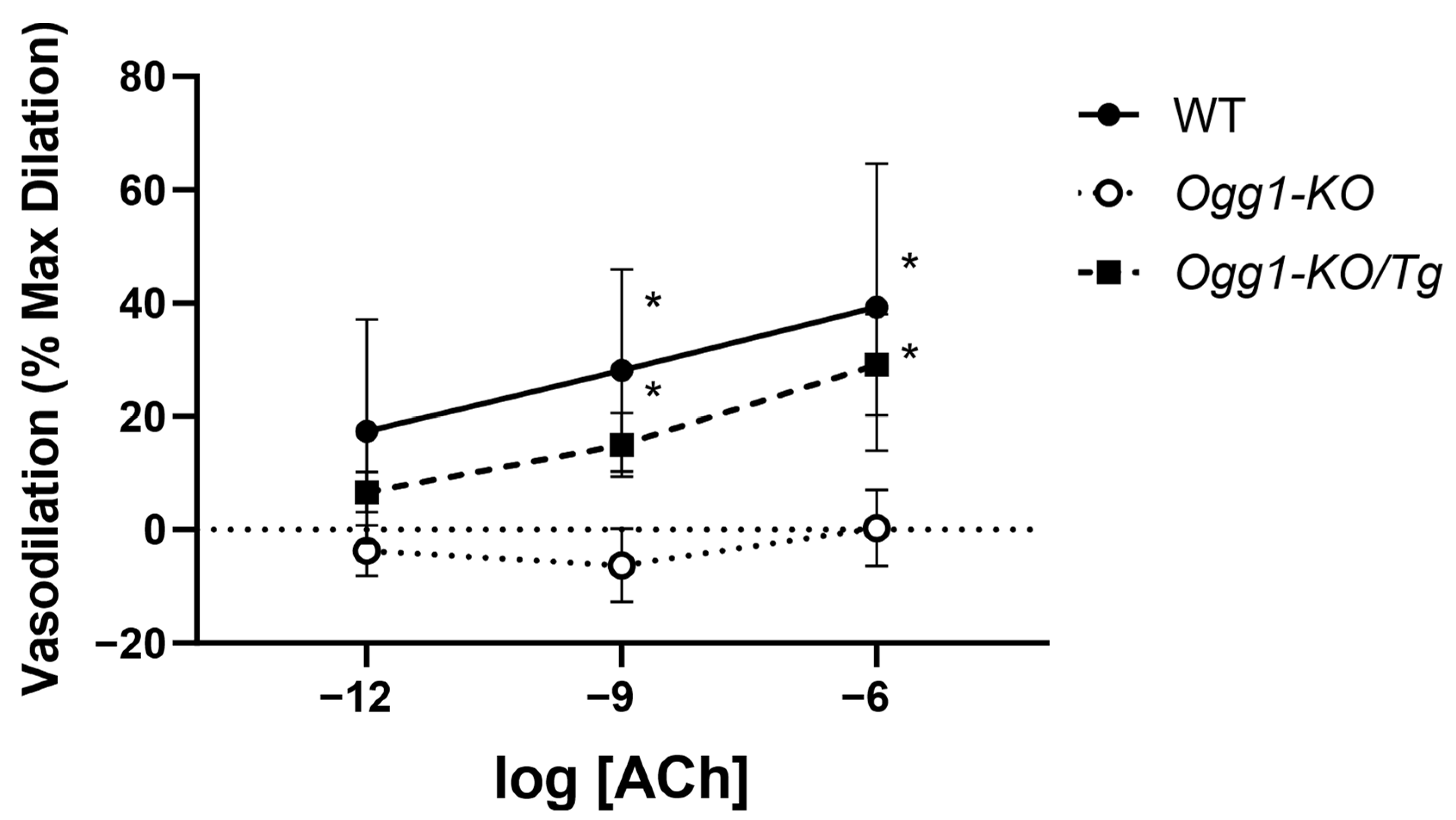 OGG1 Preserves Endothelial-Dependent Vasodilation and Regulates the ...
