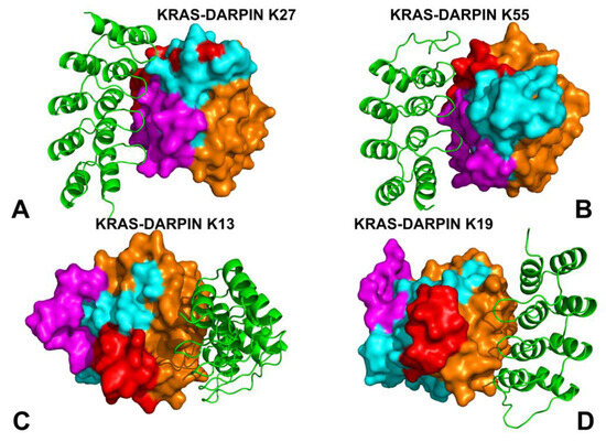 Ensemble-Based Binding Free Energy Profiling and Network Analysis of ...