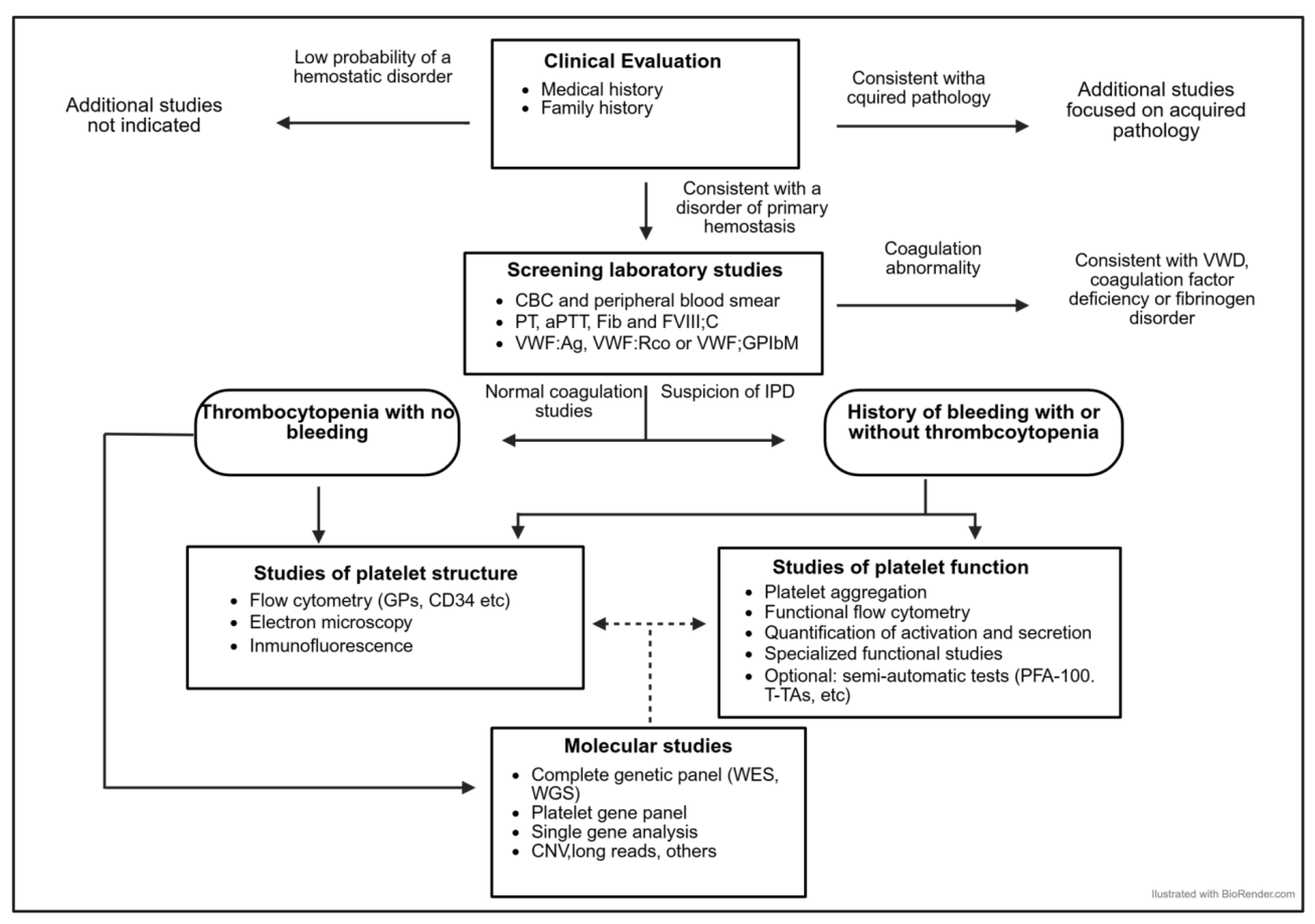 Diagnosis of Inherited Platelet Disorders: Clinical Evaluation and ...