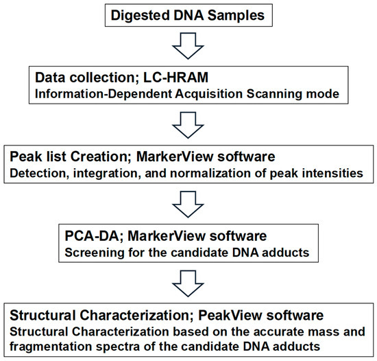 Analysis of Novel DNA Adducts Derived from Acetaldehyde