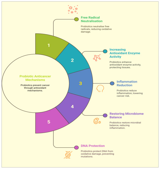 Probiotics and Cancer: Mechanistic Insights and Organ-Specific Impact
