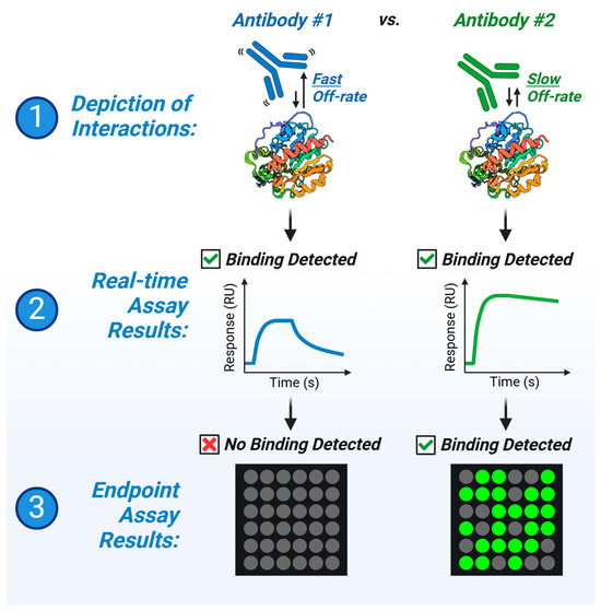 Real-Time SPR Biosensing to Detect and Characterize Fast Dissociation ...