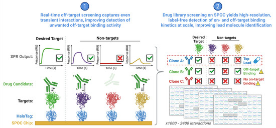Real-Time SPR Biosensing to Detect and Characterize Fast Dissociation ...
