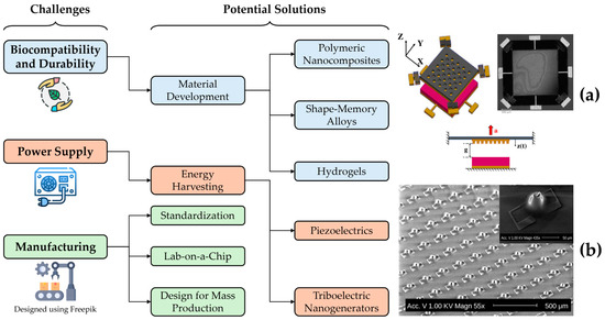 Prospects and Trends in Biomedical Microelectromechanical Systems (MEMS ...