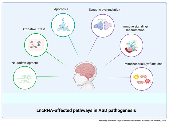 Human Blood-Derived lncRNAs in Autism Spectrum Disorder