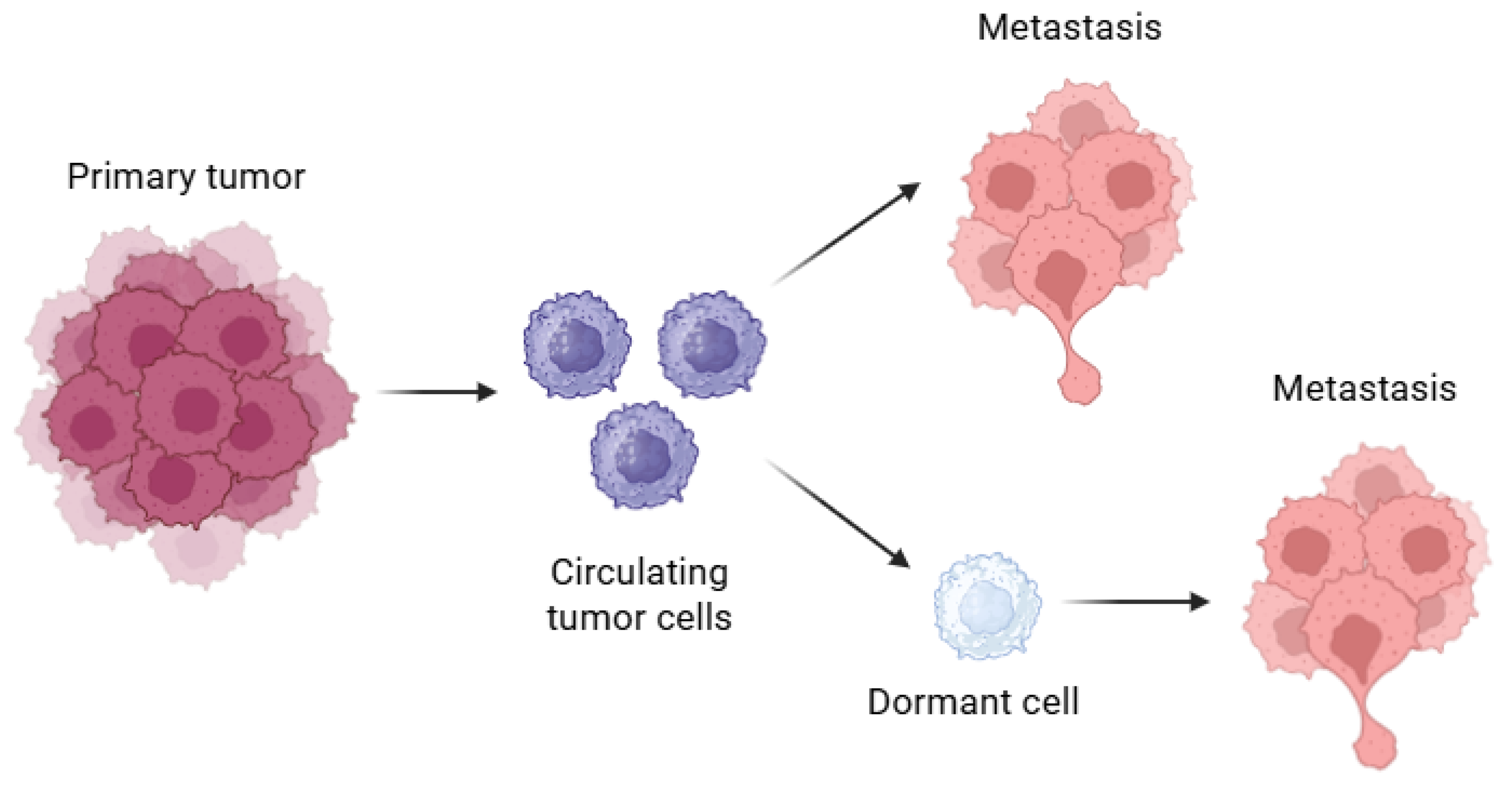Dormancy in Colorectal Carcinoma: Detection and Therapeutic Potential