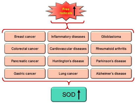 Therapeutic Applications and Mechanisms of Superoxide Dismutase (SOD ...