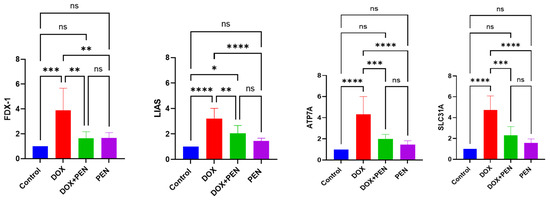Copper Chelation by Penicillamine Protects Against Doxorubicin-Induced ...