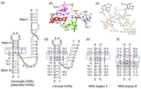 Physicochemical Characterization of the Catalytic Unit of Hammerhead ...