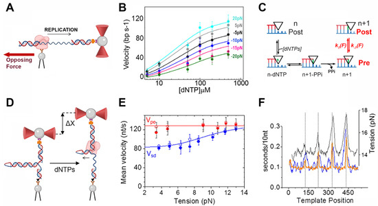 Optical Tweezers to Force Information out of Biological and Synthetic ...