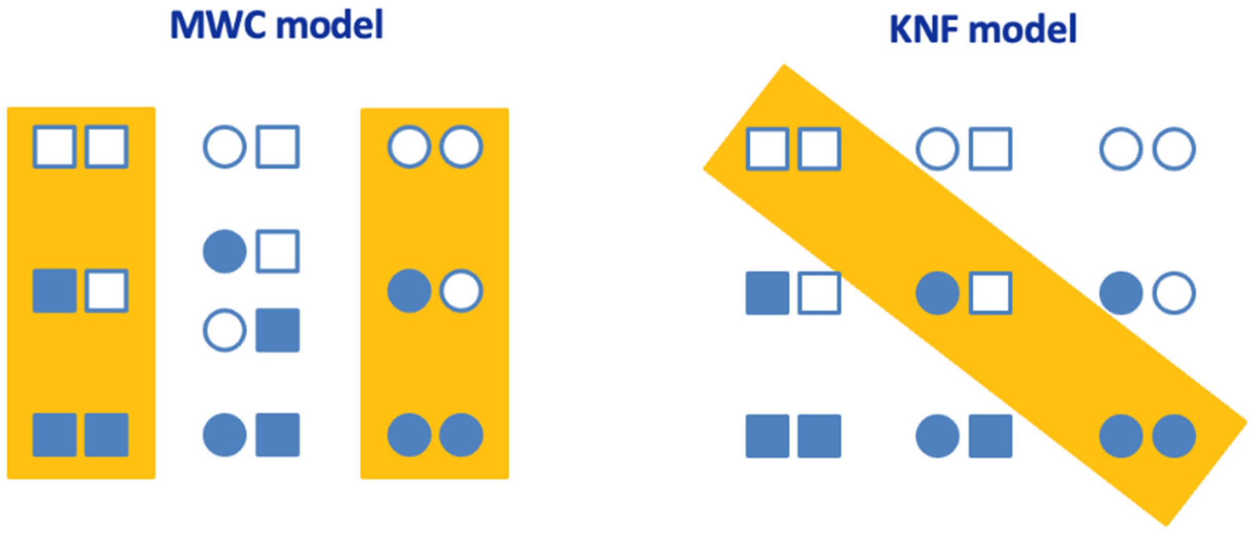 Biological Calorimetry: Old Friend, New Insights