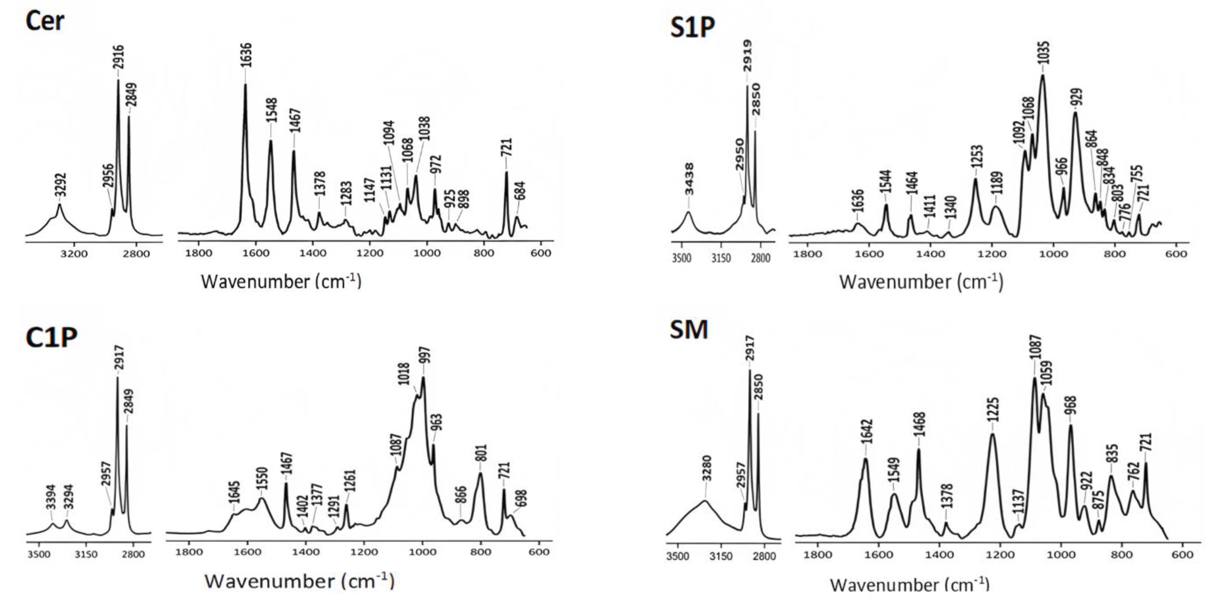 Biophysica Free Full Text Probing Biochemical Differences In Lipid