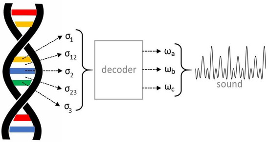 A Dynamic Representation of mRNA Nucleotides Clarifies the Conundrum of ...