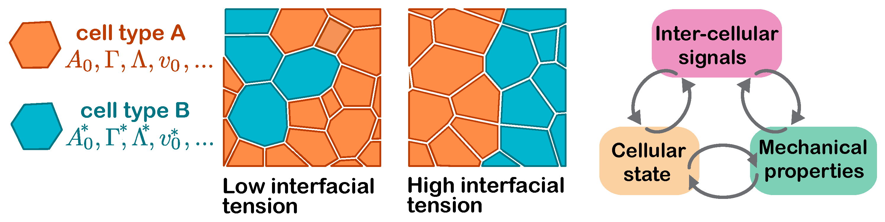 No Country for Old Frameworks? Vertex Models and Their Ongoing ...
