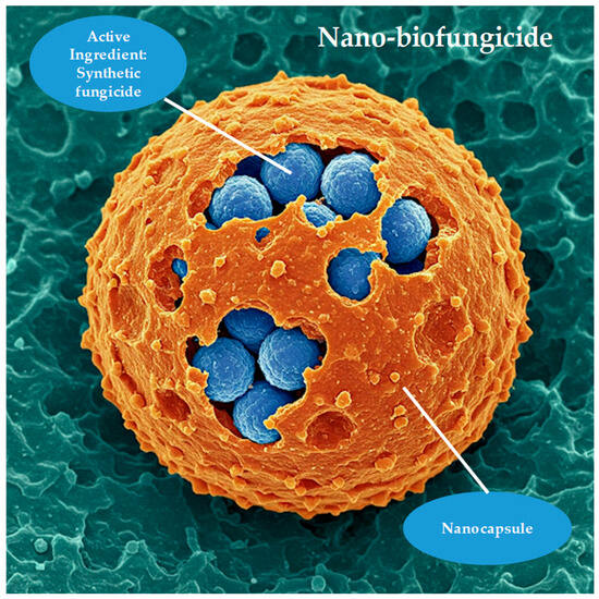 Nano-Biofungicides and Bio-Nanofungicides: State of the Art of ...
