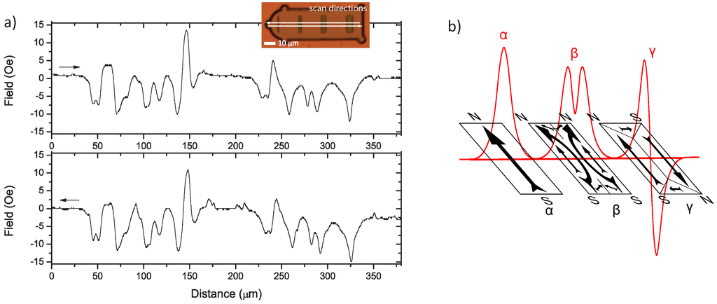 Biosensors | Special Issue : Magnetic Biosensors