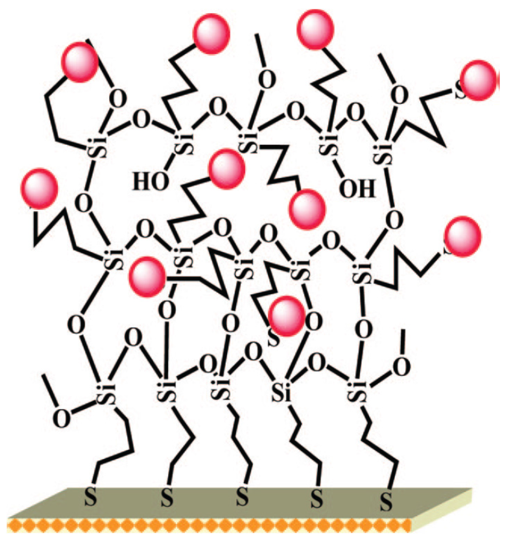 Modified Electrodes Used for Electrochemical Detection of Metal Ions in ...