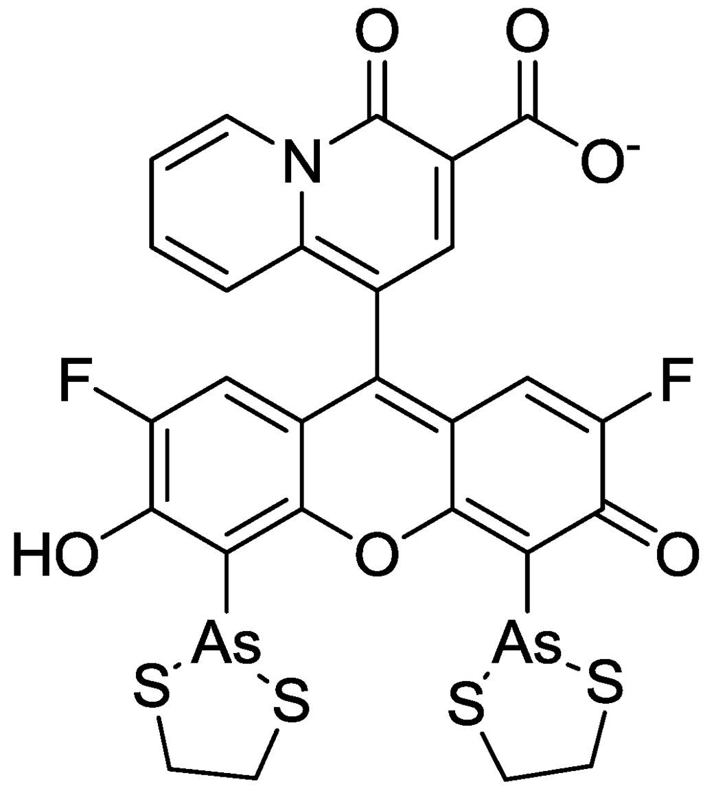 Development of Functional Fluorescent Molecular Probes for the ...