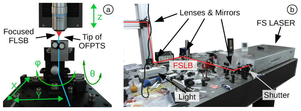 Biosensors | Special Issue : Optical Sensors for Biomedical Applications