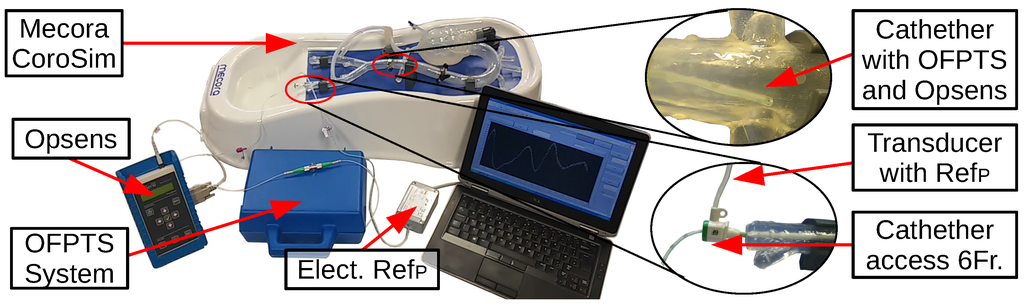 Biosensors | Special Issue : Optical Sensors for Biomedical Applications