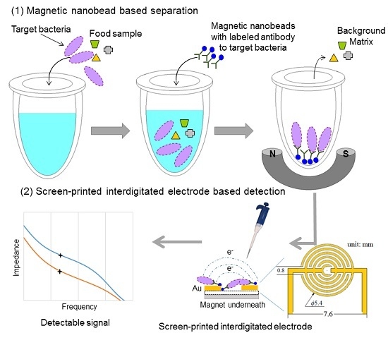 Biosensors | Free Full-Text | A Label-Free Impedance Immunosensor Using ...