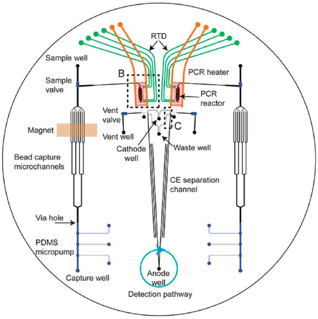 Biosensors | Special Issue : Advances in Lab-on-Chip Devices