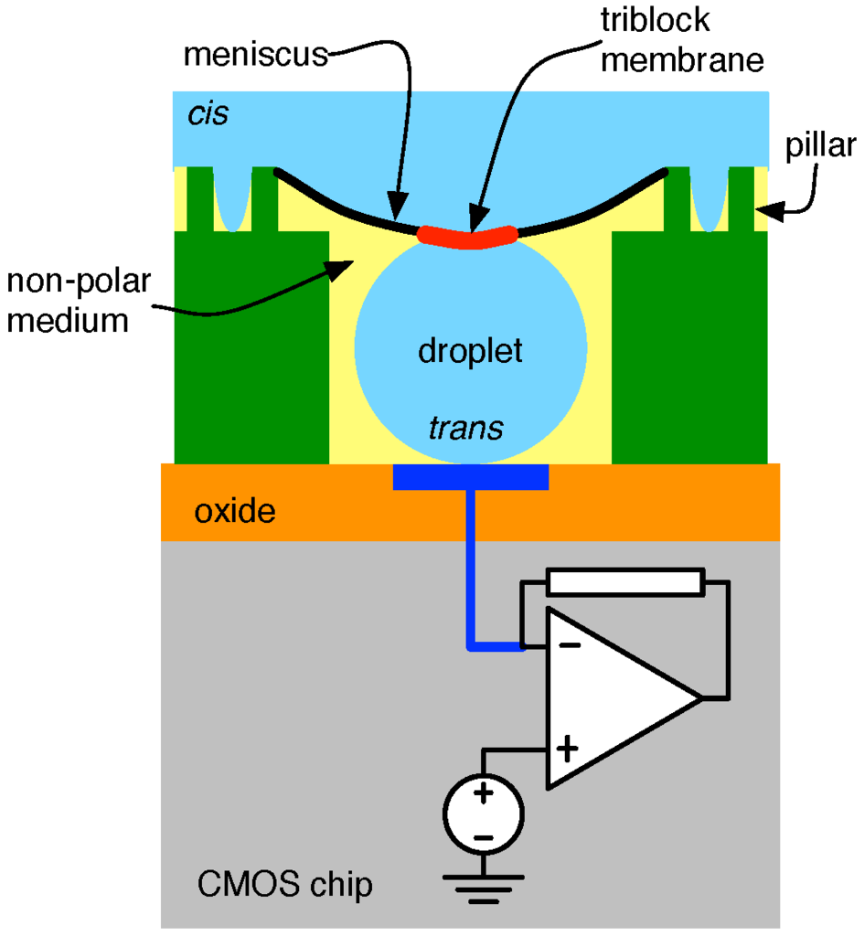 Nanopore-CMOS Interfaces for DNA Sequencing