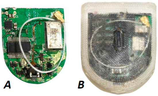 Biosensors | Special Issue : Implantable Biosensors for in vivo ...