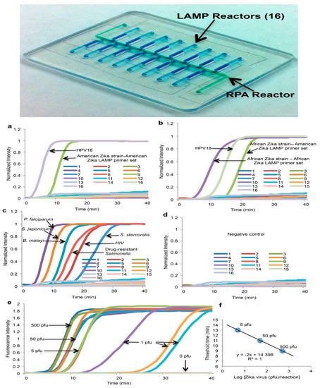 Simple Approaches to Minimally-Instrumented, Microfluidic-Based Point-of-Care Nucleic Acid ...