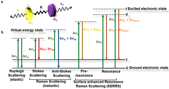 Biosensors | Free Full-Text | Raman Spectroscopy and Microscopy ...