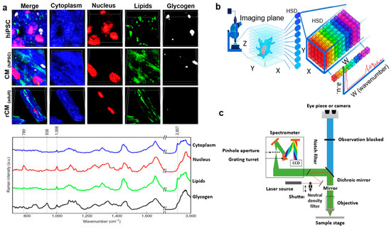Biosensors | Free Full-Text | Raman Spectroscopy and Microscopy ...