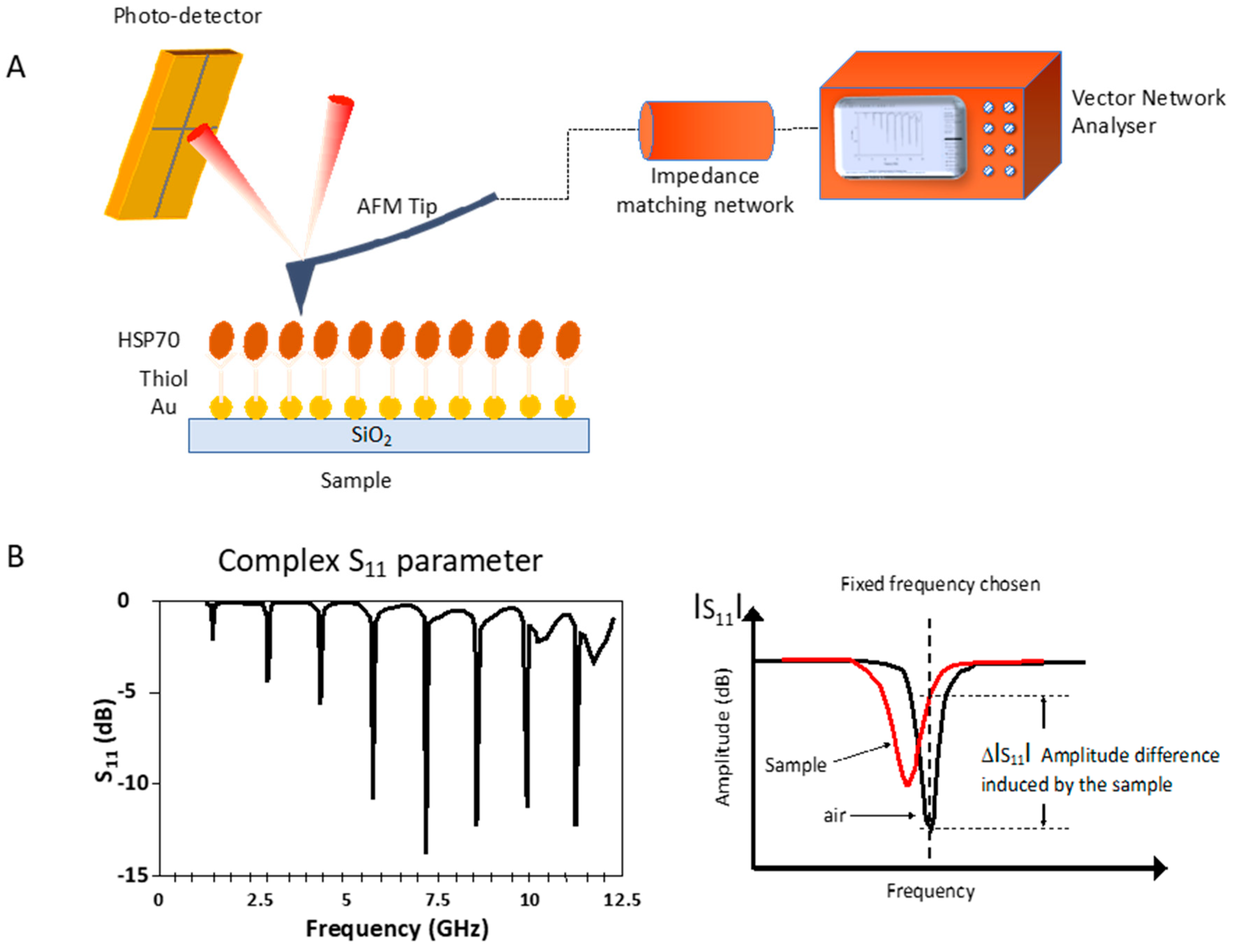 Microwave Spectroscopic Detection of Human Hsp70 Protein on Annealed ...