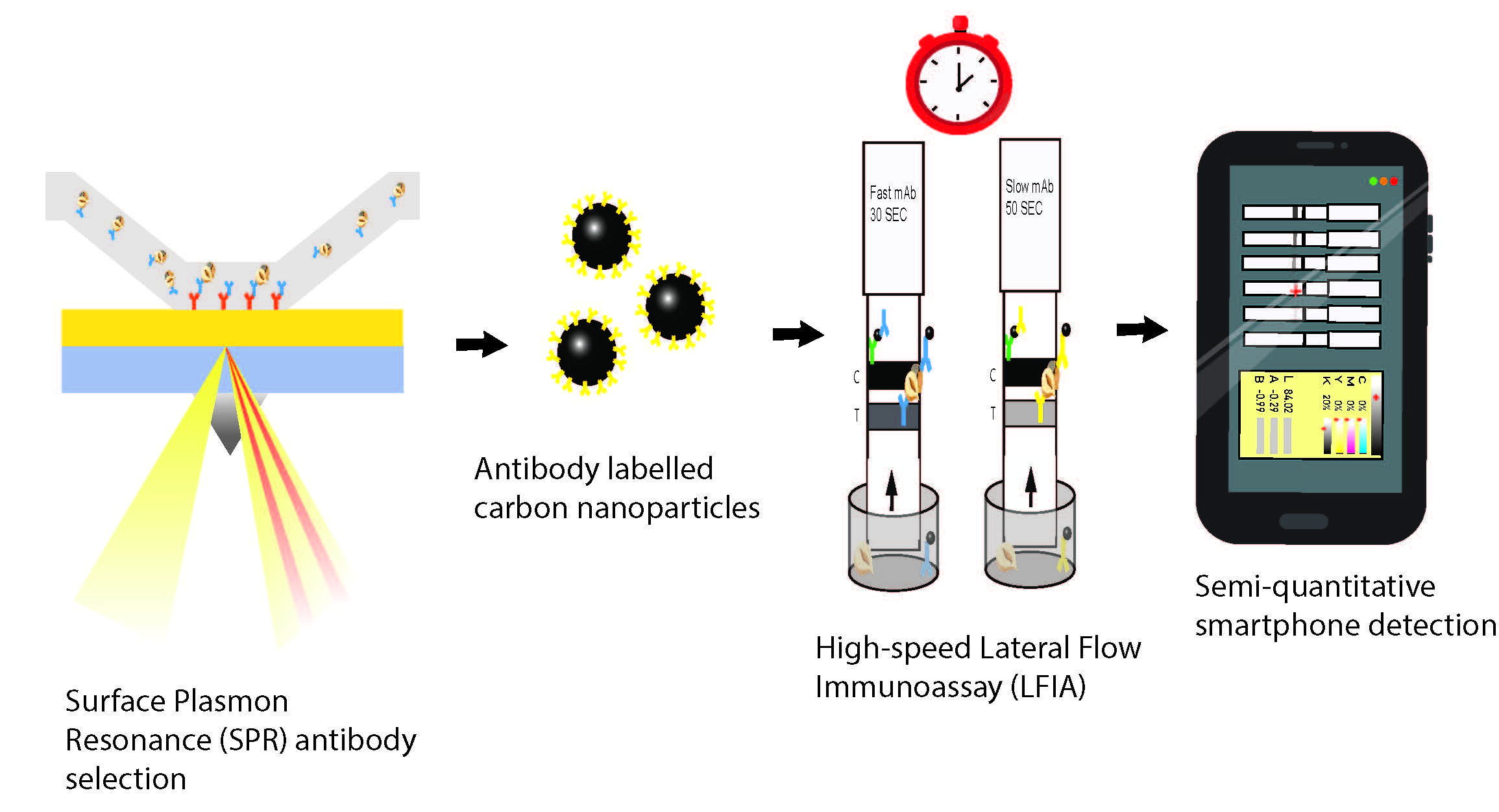 Biosensors | Free Full-Text | Rapid Antibody Selection Using Surface ...