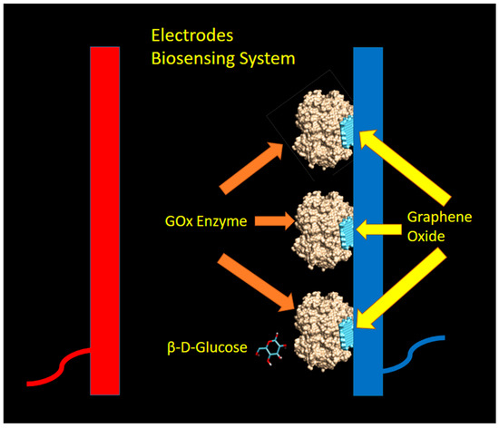 A Molecular Interaction Analysis Reveals the Possible Roles of Graphene ...