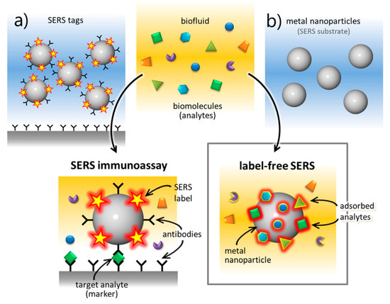Biosensors | Free Full-Text | A Review on Surface-Enhanced Raman Scattering