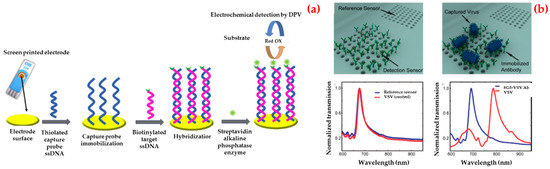 Biosensors | Free Full-Text | An Alternative Medical Diagnosis Method ...