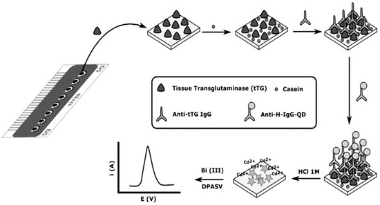 The Role of Electrochemical Immunosensors in Clinical Analysis